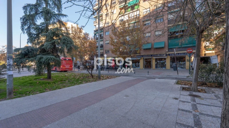 Piso en venta en Calle Primavera en Zaidín-Vergeles por 250.000