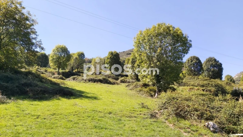 Finca rústica en venta en Calle Onceño, Número 0 en Avín por 160.000