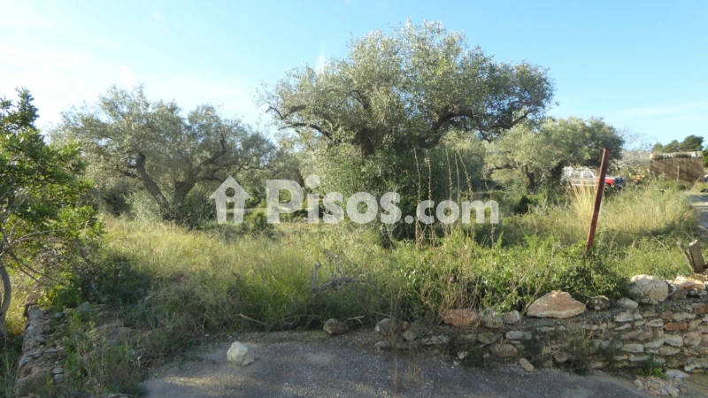 Finca rústica en venta en Càlig en Càlig por 90.000