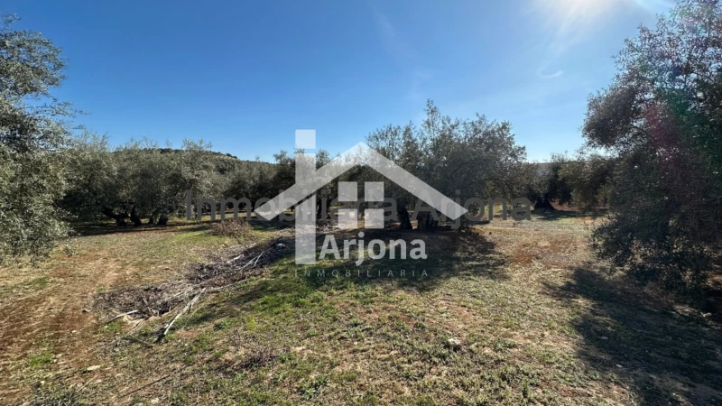 Finca rústica en venta en Carretera Puente Genil en Lucena por 50,000