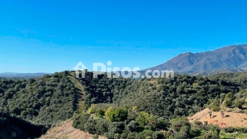 Terreno en venta en El Padrón-El Velerín-Voladilla en El Padrón-El ...