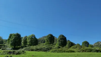 Finca rústica en venta en Calle Onceño, Número 0 en Avín por 160.000