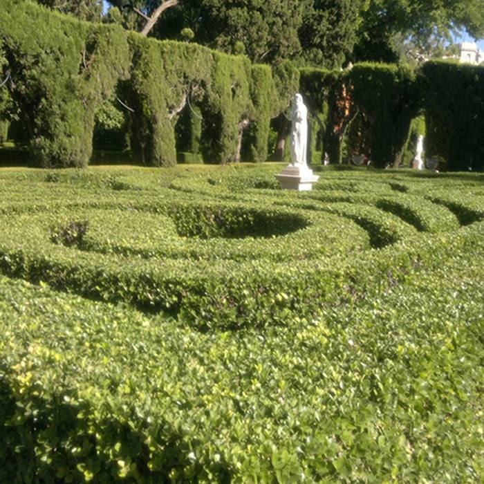 El boj - pisosblog - pisos.com