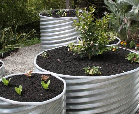 Cómo saber qué tipo de tierra tiene tu jardín - pisosblog - pisos.com