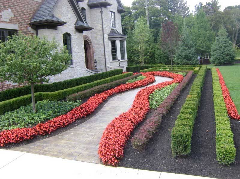 10 ideas verdes para delimitar el jardín - pisosblog - pisos.com