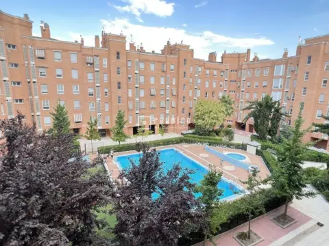 Alquiler de pisos en Madrid: casas y pisos