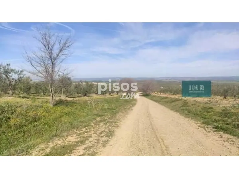 Terreno en venta en Calle Polígono 8 Parcela 96 Cabeza Marchena ...