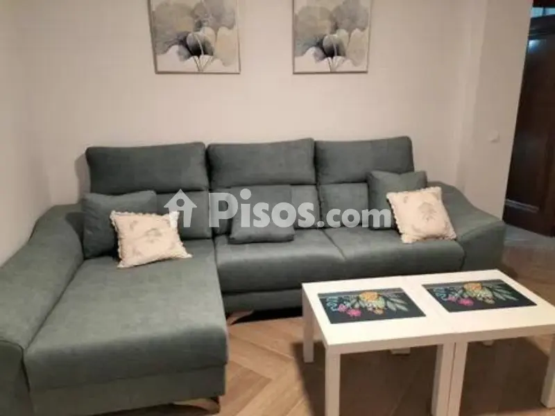 Piso en alquiler en La Trinidad-Mármoles-Perchel Norte en La Trinidad ...