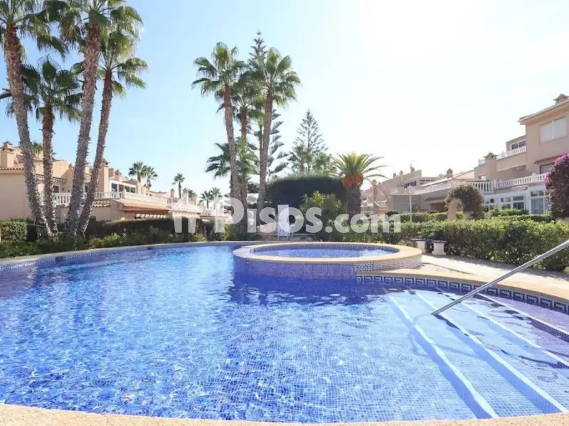 Piso en alquiler en Playa Flamenca-Las Piscinas en Playa Flamenca-Las ...