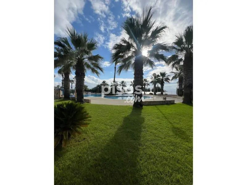 Piso en alquiler en Cabo Roig-La Zenia-La Regia en Cabo Roig-La Zenia ...