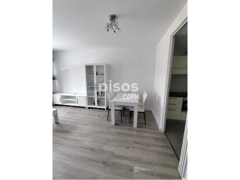 Piso en alquiler en Calle de José María Francés Gil, 7 en G3-S3-S4 ...