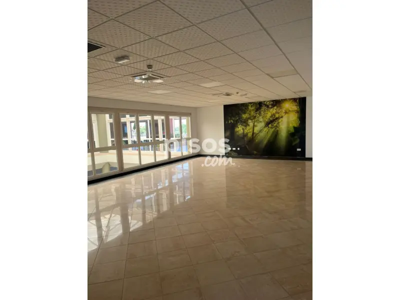 Oficina en alquiler en Avenida del Guincho, 4 en El Guincho por 1.990 €/mes